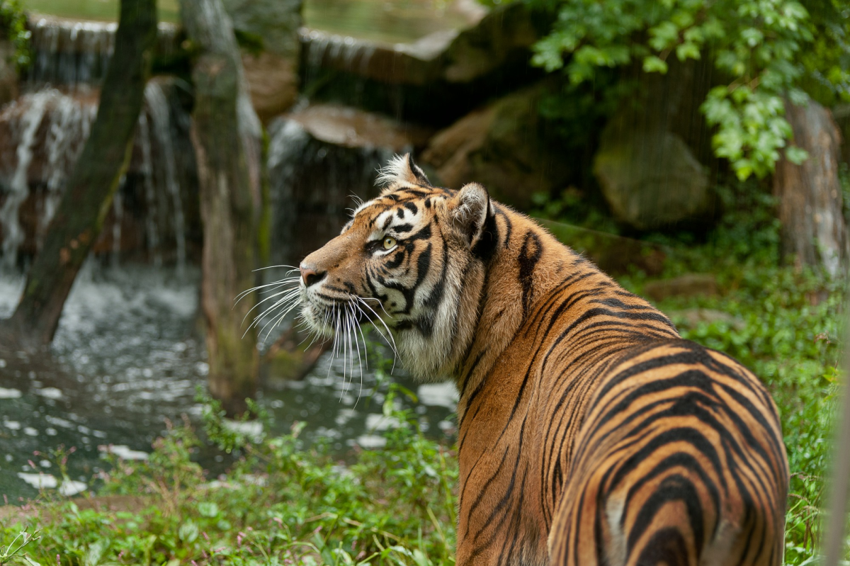 Akron Zoo | Akron, OH