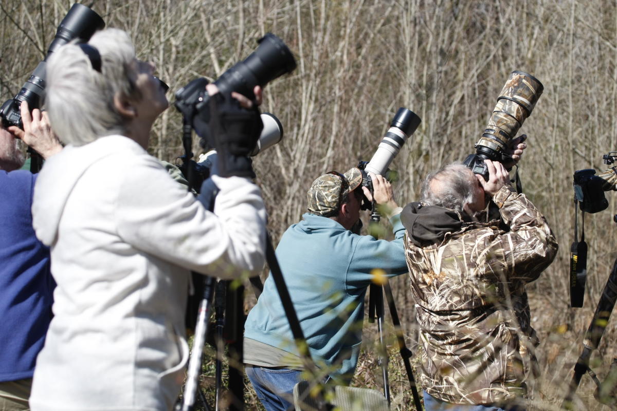 Eagle Awareness at Guntersville
