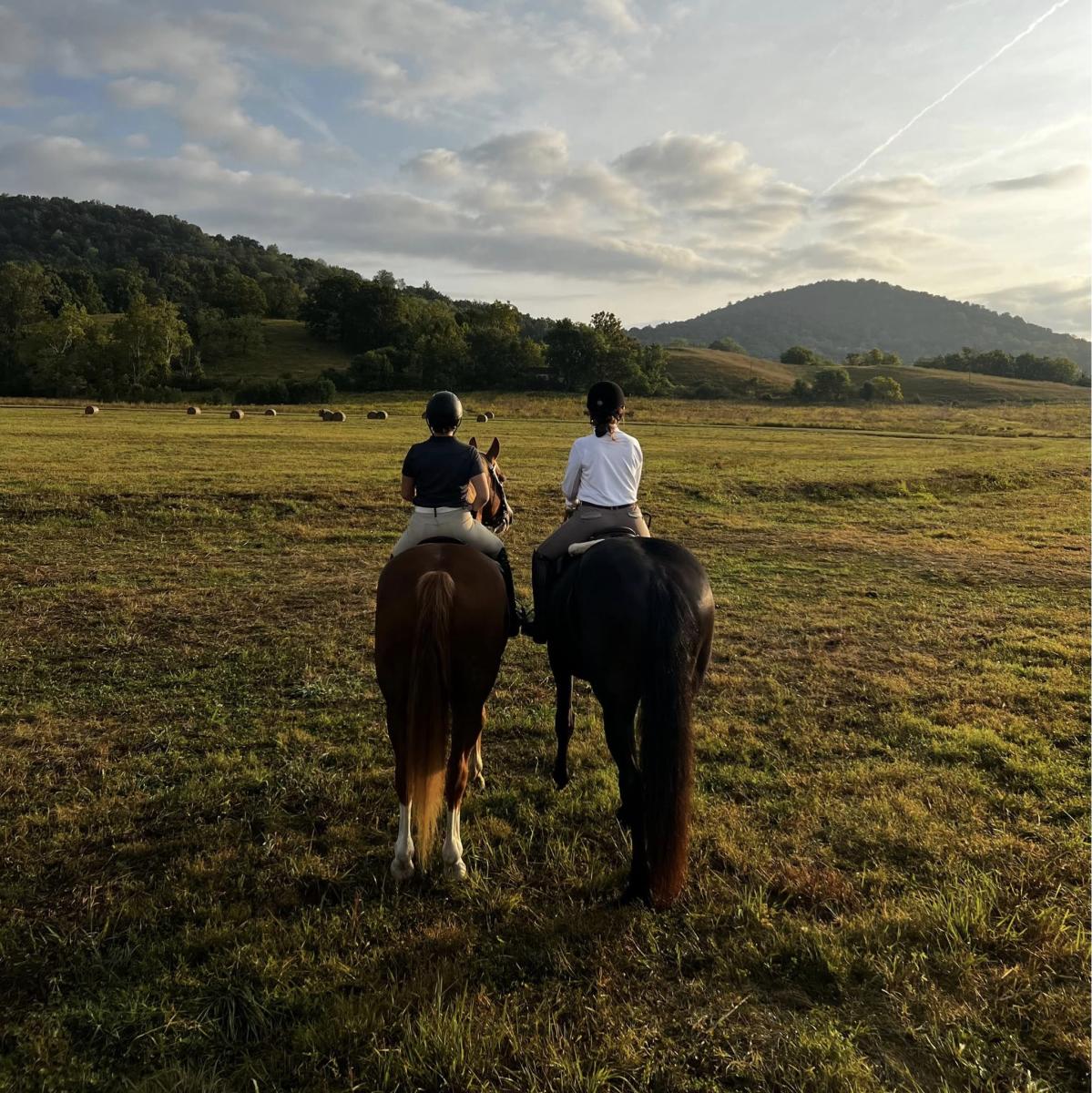 Spring Gap Farm