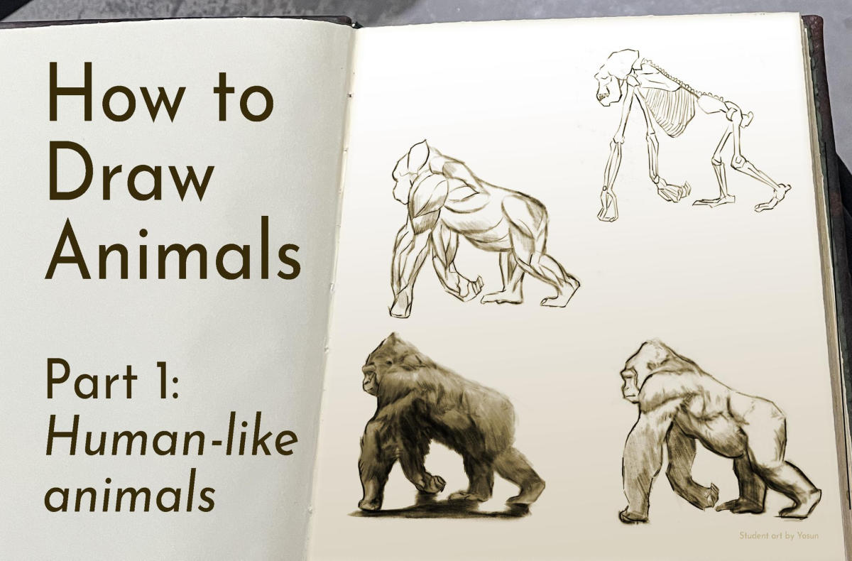 How to Draw Animals