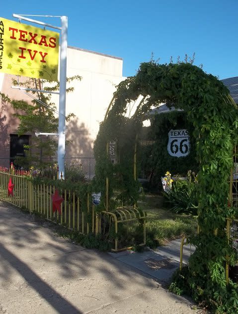 Texas Ivy Antiques