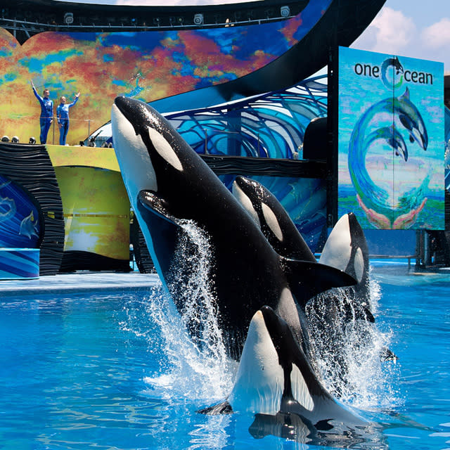 SeaWorld® San Diego | San Diego, CA 92109
