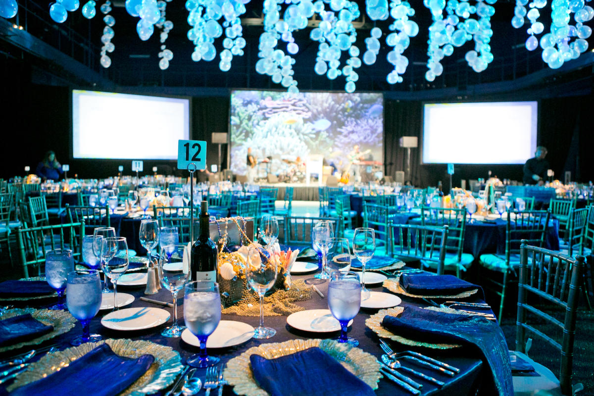 Signature Party Rentals | Santa Ana, CA 92704