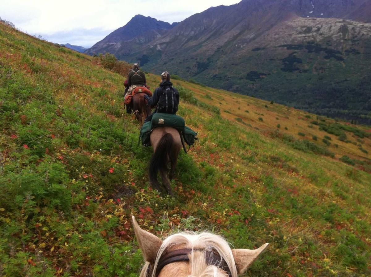 Alaska Horse Adventures