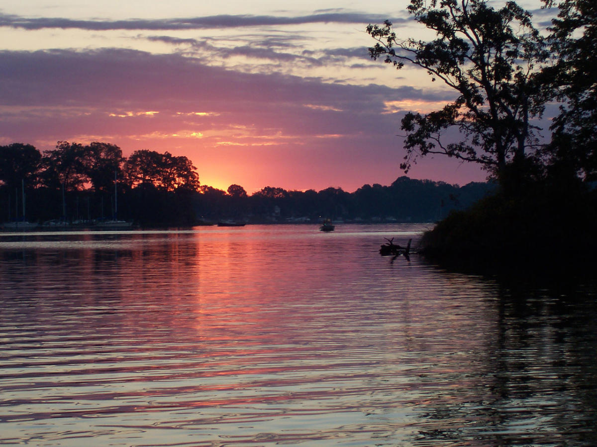 Smithsonian Environmental Research Center | Edgewater, MD