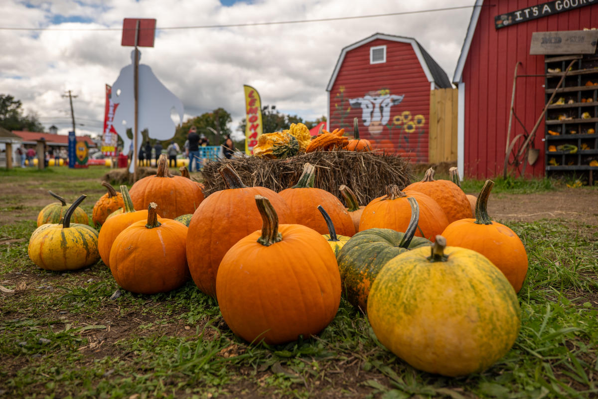 Knightongale Farm | Harwood, MD