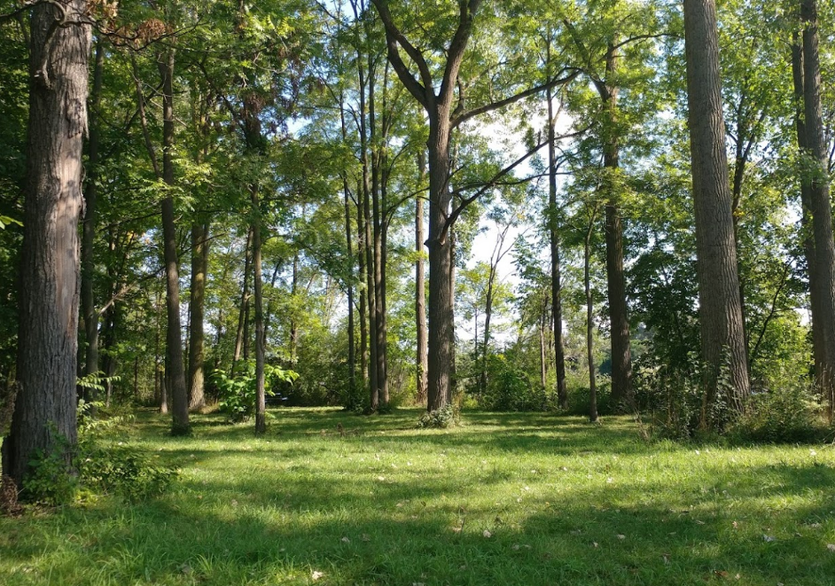 Peninsular Park | Destination Ann Arbor