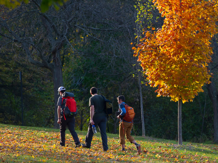 Pinckney-Blind Lake Rustic Hike-in