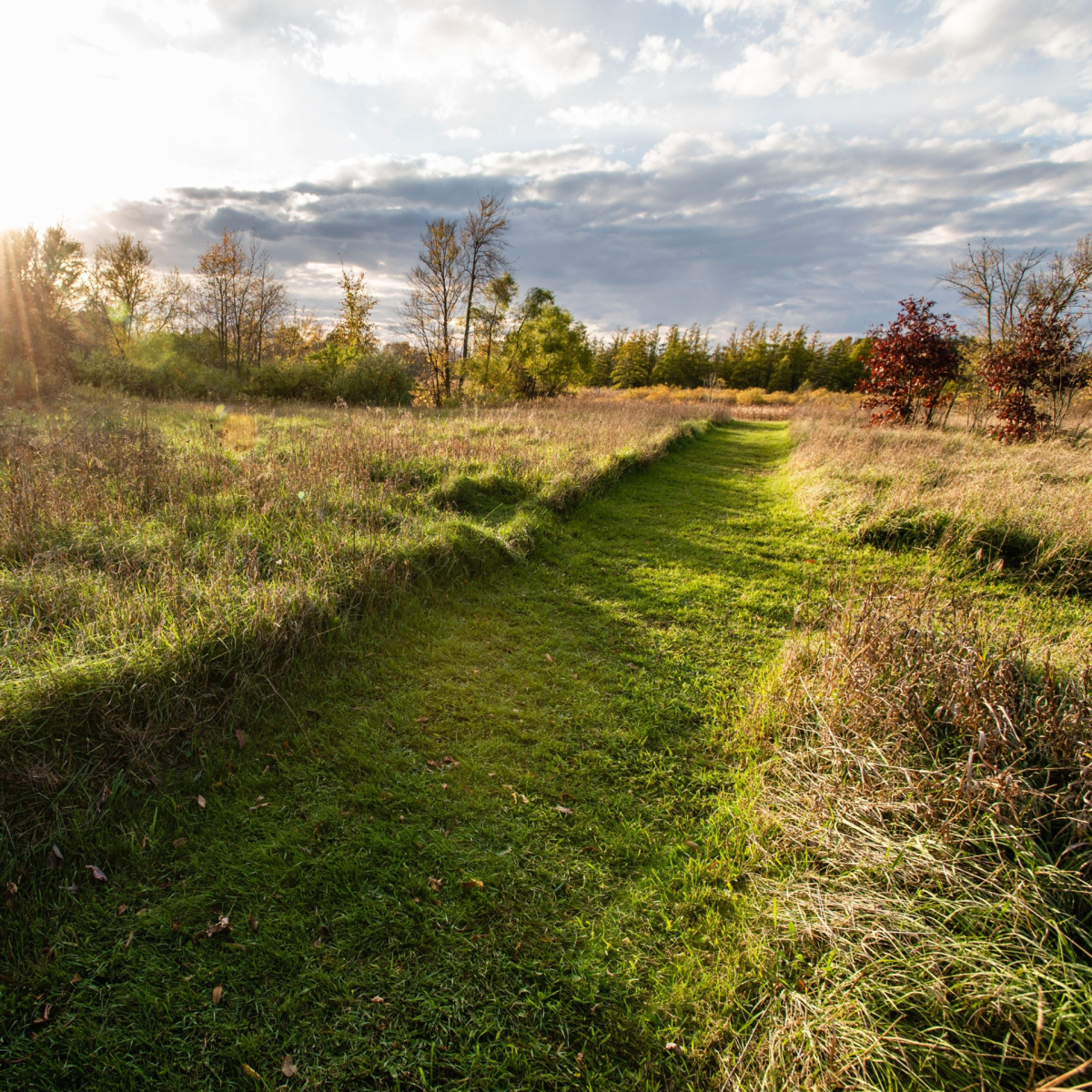 Riverbend Preserve