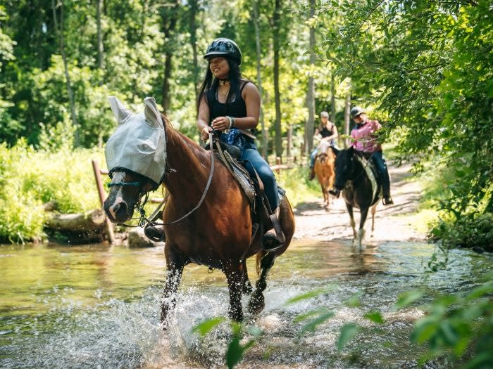 Waterloo-Equestrian Trails
