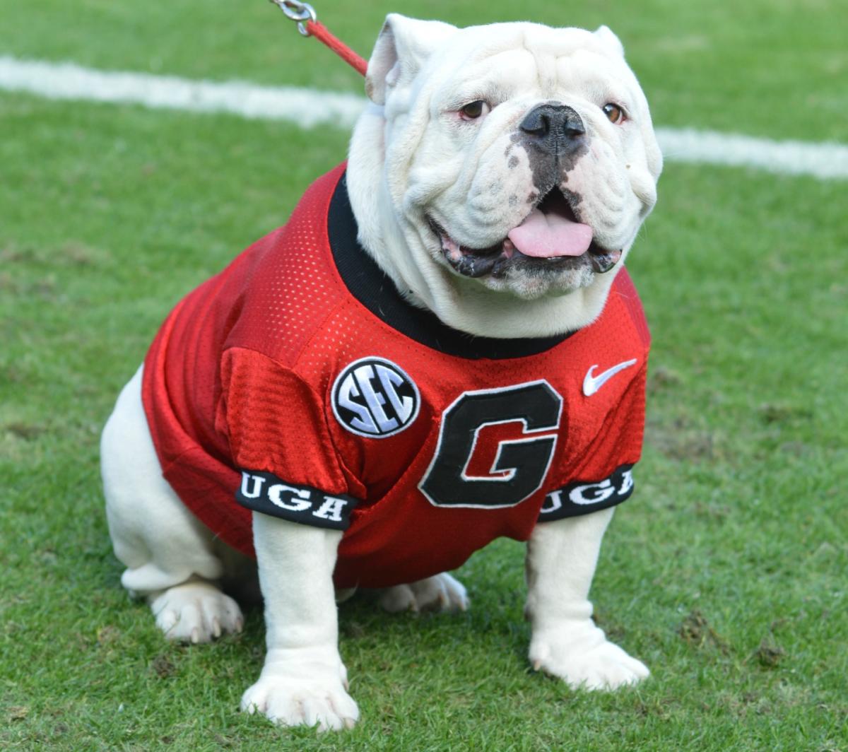 UGA Fan Day