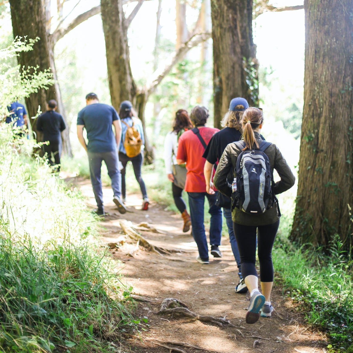 Nature Wellness Walk at Chewacla State Park