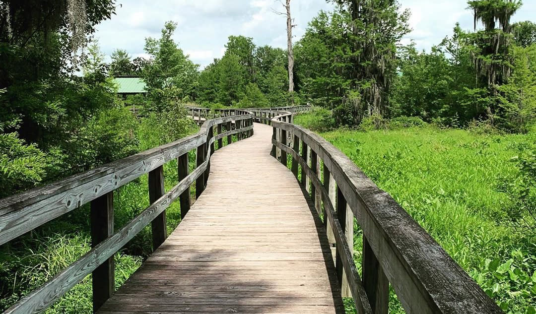 Phinizy Swamp Nature Park