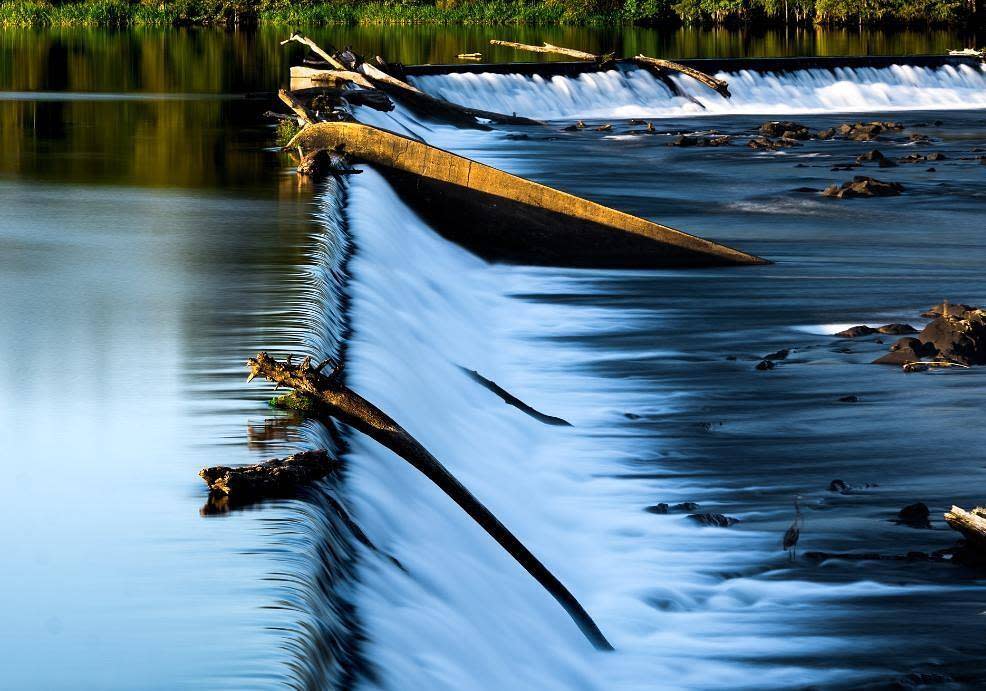 Savannah River Clearing