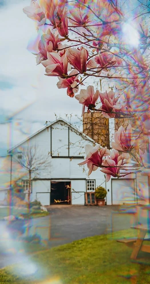 Heritage Prairie Farm