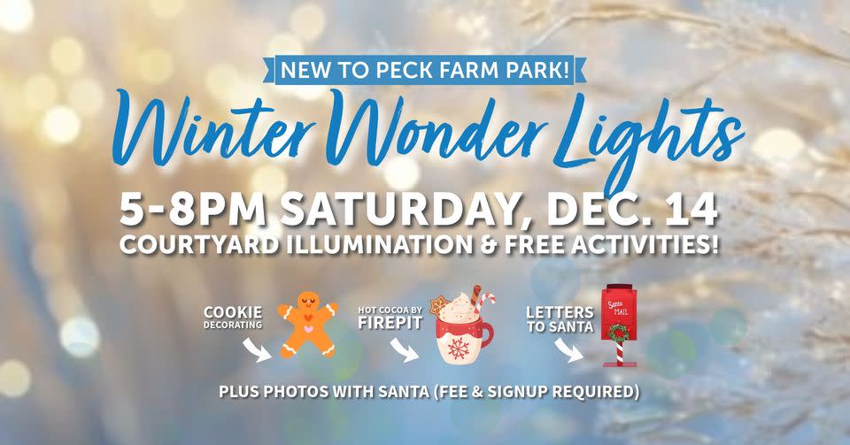 Winter Wonder Lights- NEW