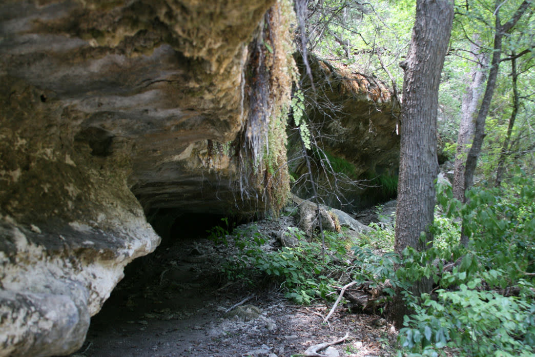 Emma Long Metropolitan Park