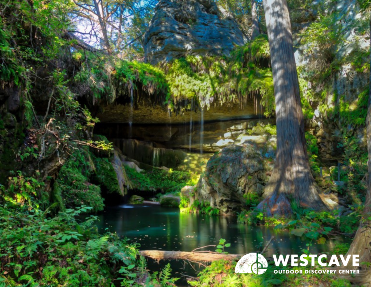 Westcave Outdoor Discovery Center