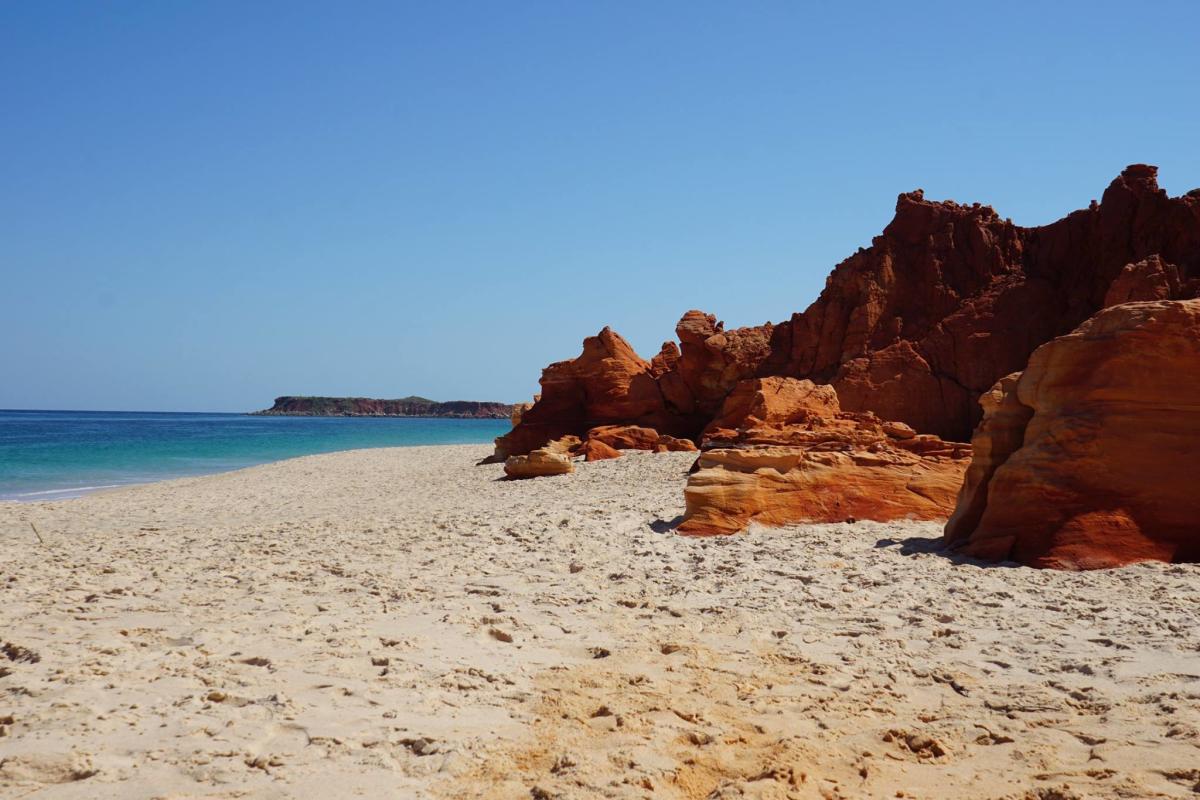 Bluey Travel