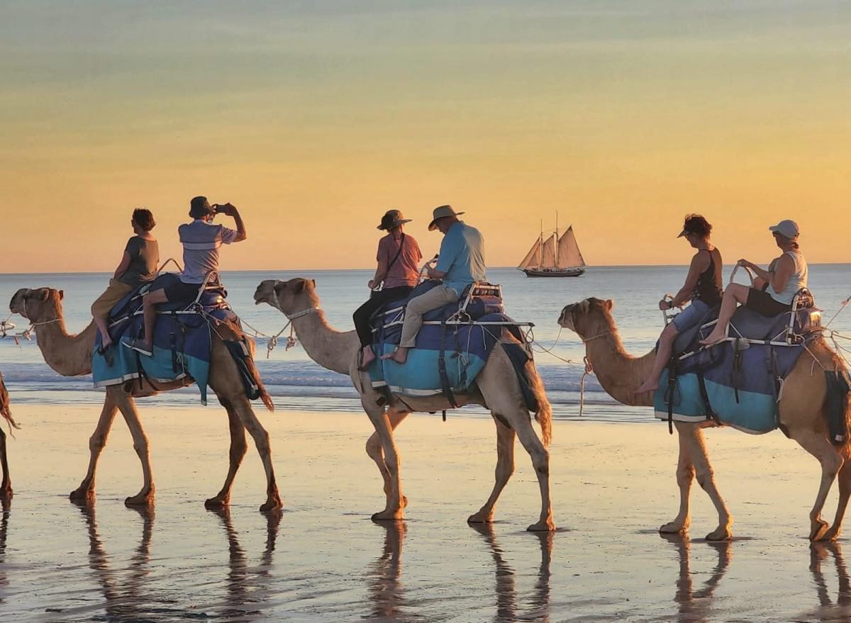 Broome Camel Safaris