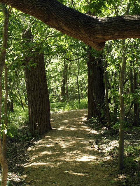 Lost Pines Nature Trails | Bastrop, TX 78602