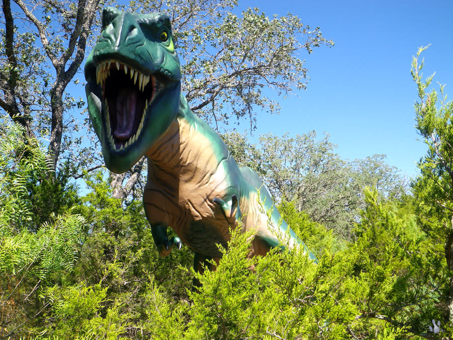 dinosaur park