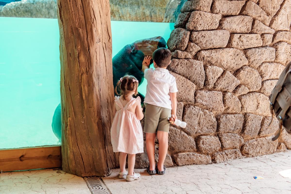 BREC's Baton Rouge Zoo