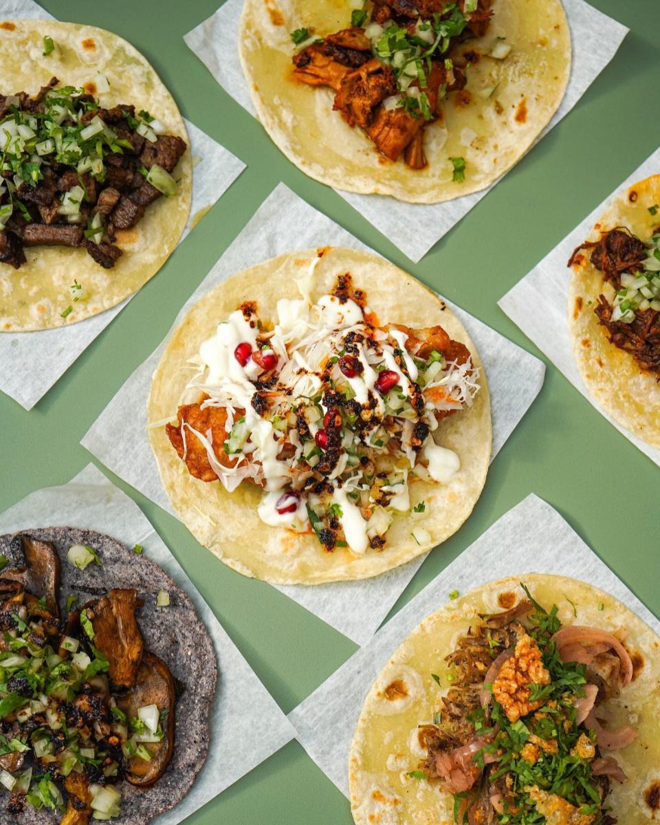 Barracuda Taco Stand