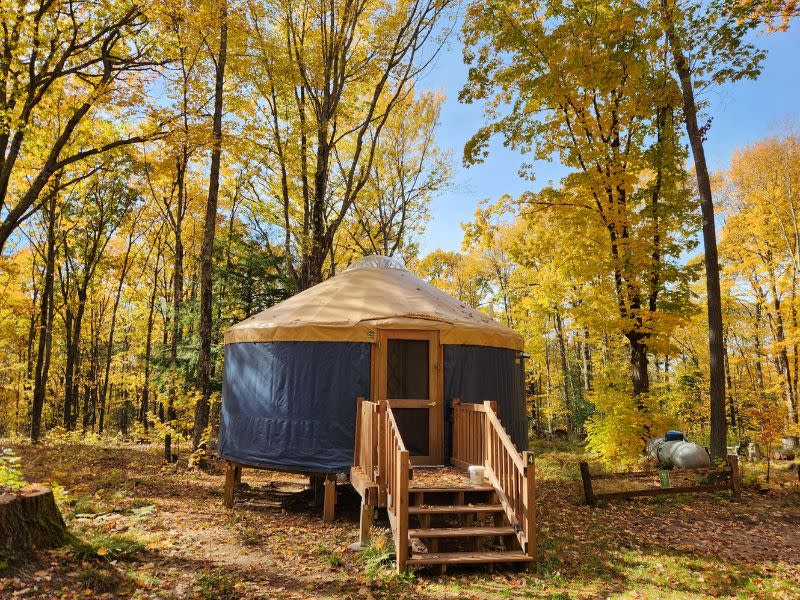 Turtle Yurts