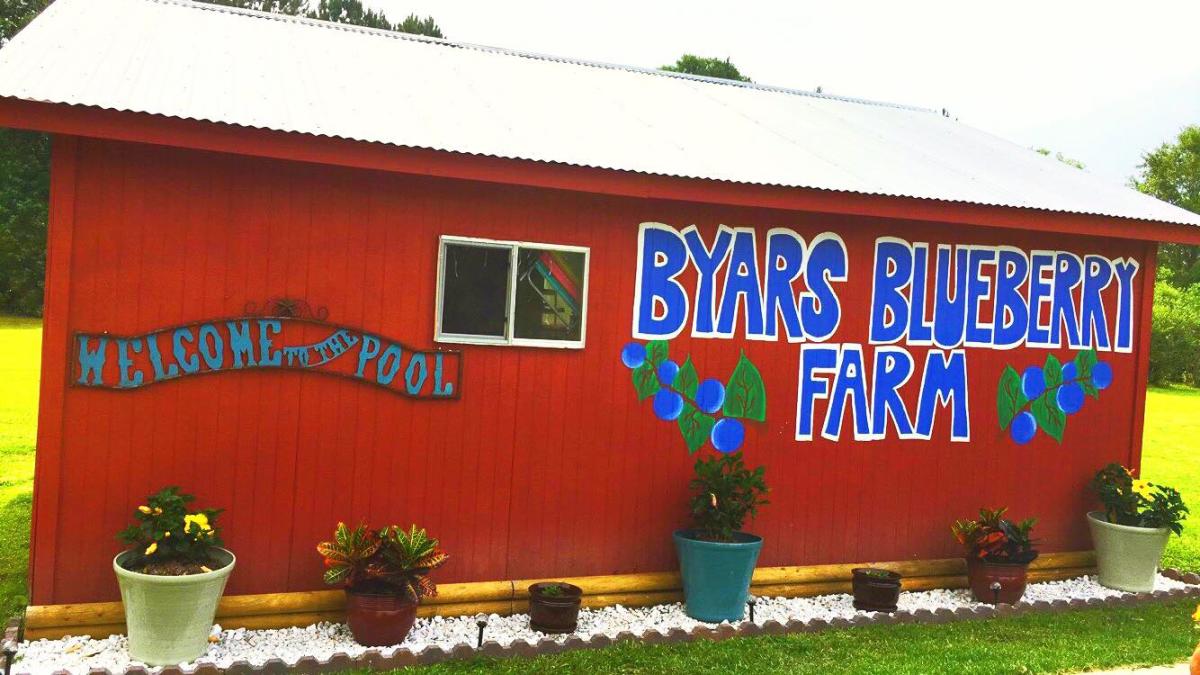 Byars Blueberry Farm