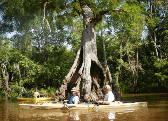 Cook's Lake to Scatterman Paddling Trail