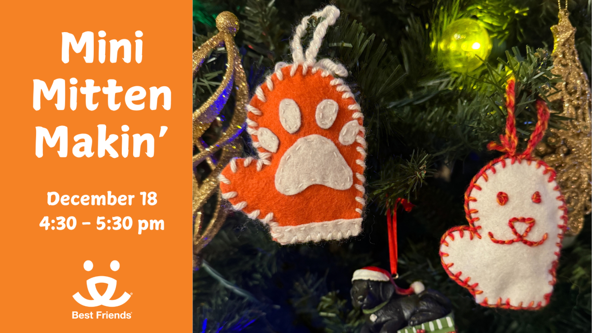 Mini Mitten Makin' with Best Friends and Yarn Alchemy