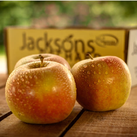 Jackson's Orchard - Apple Fest!