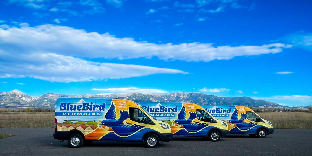 Bluebird Plumbing