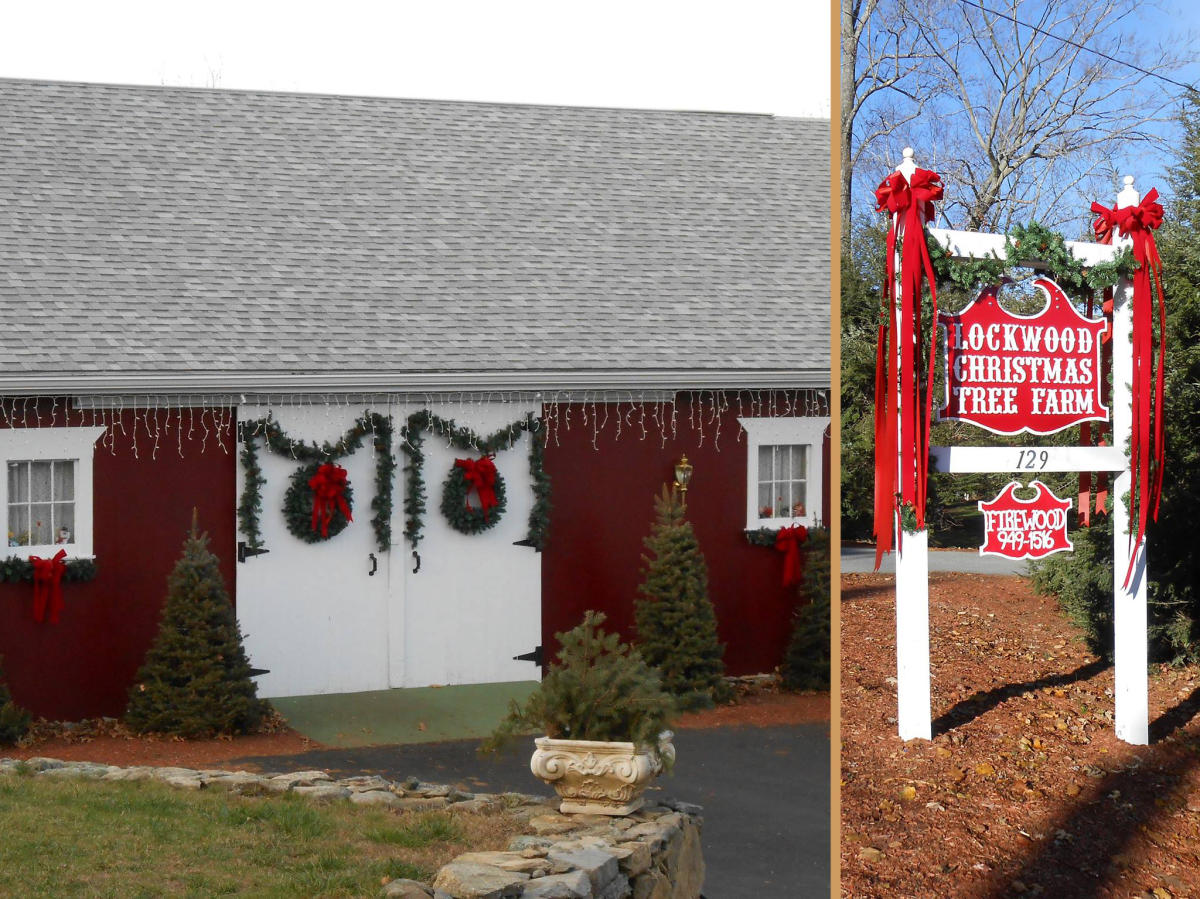 Lockwood Christmas Tree Farm