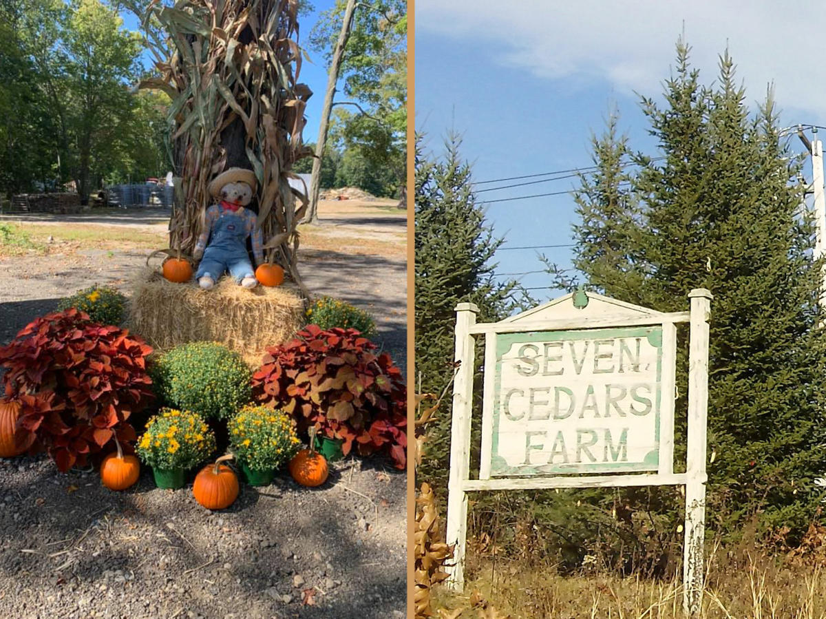 Seven Cedars Farm