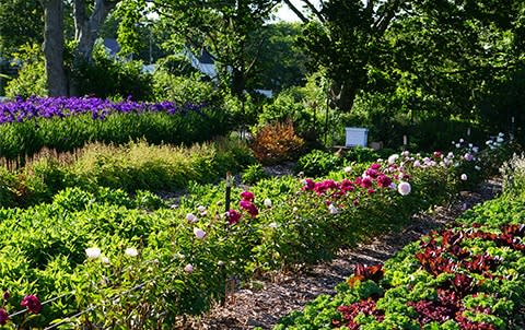 1661 Inn Farm and Gardens | Block Island, RI