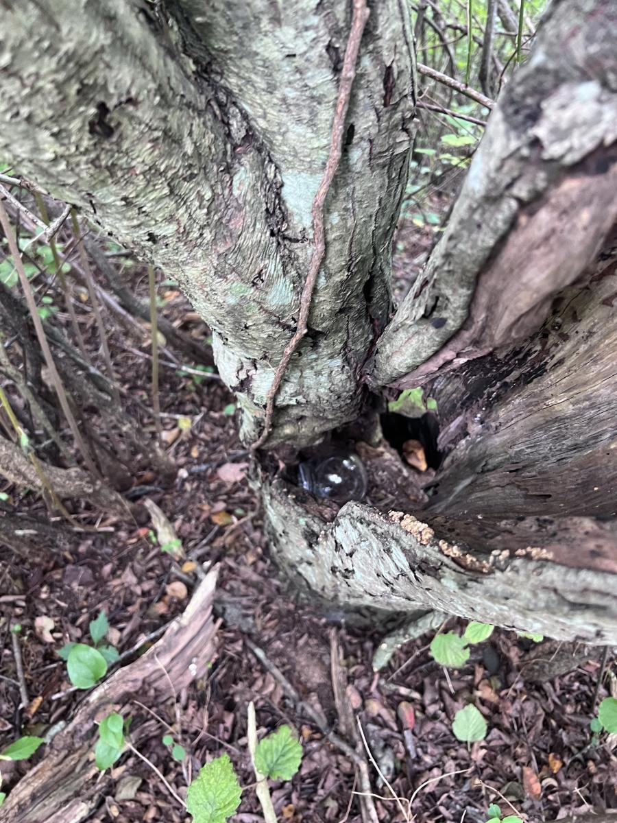 449 | Block Island, RI