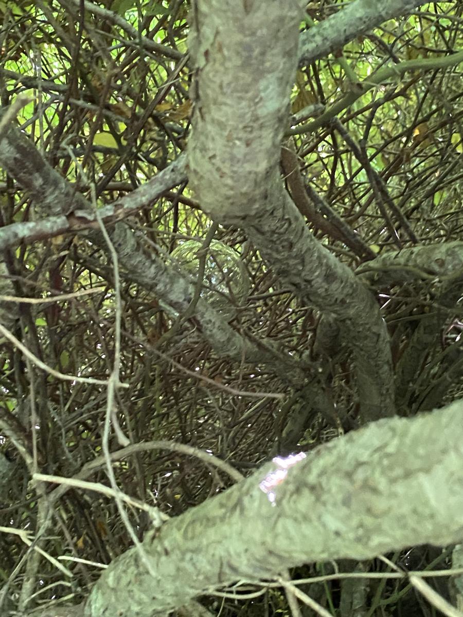 203 | Block Island, RI