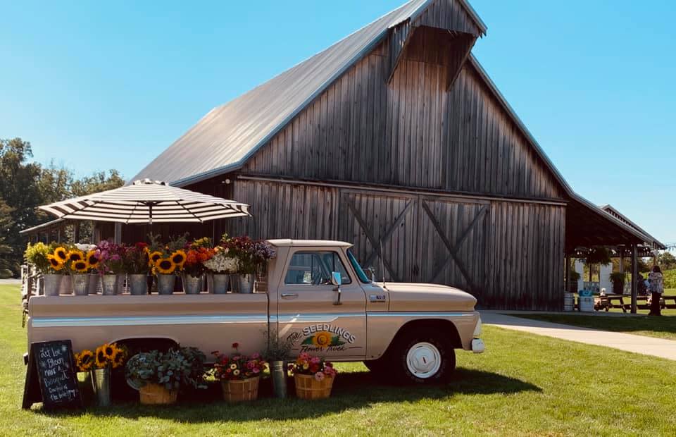 The Seedlings U-Pick Flower Farm