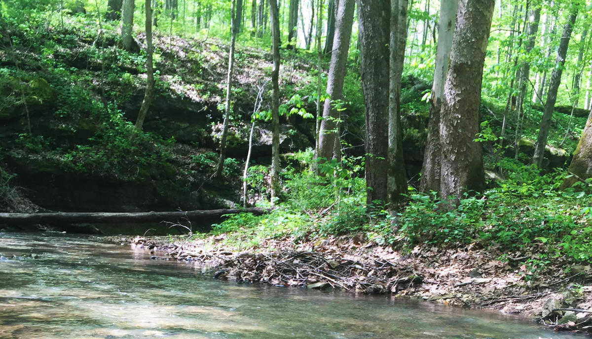 Mccormick S Creek State Park