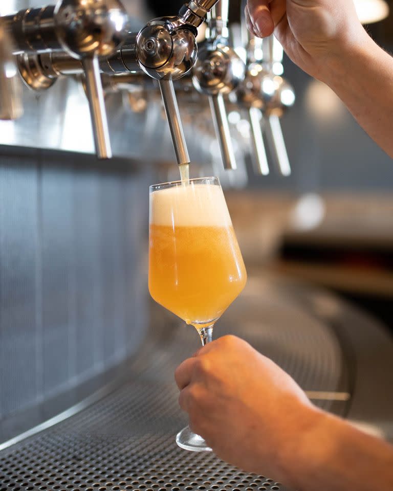 Wild Provisions Beer Project