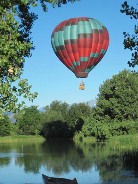 Life Cycle Balloon Adventures