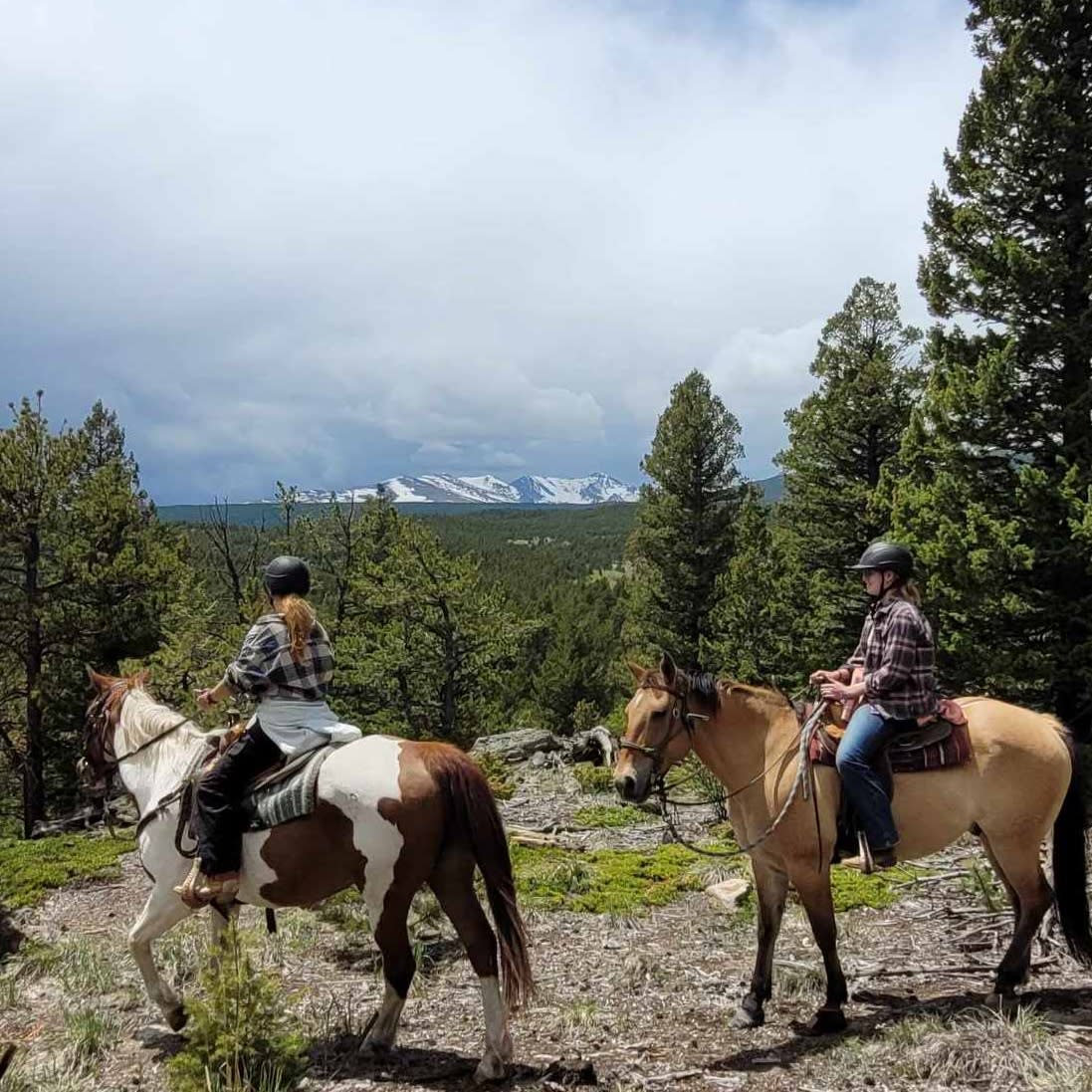 Lessons and Trail Rides on a Scenic Ranch with Sweeping Mountain Views