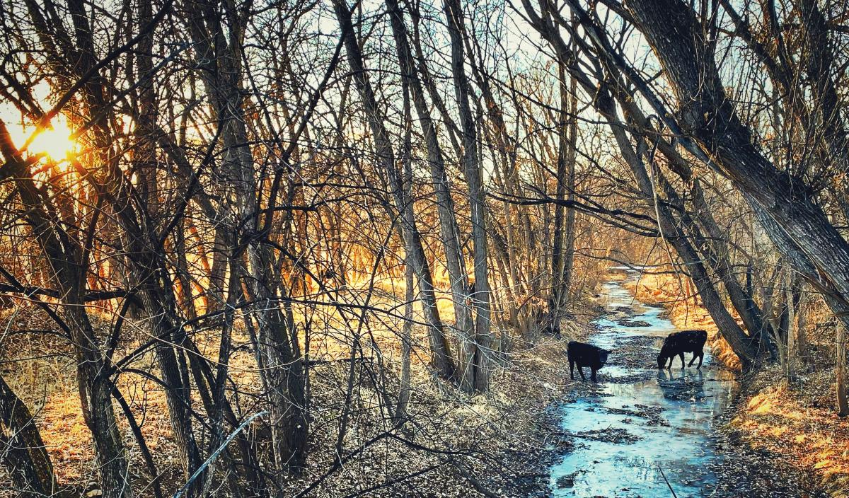 Leisurely Ride Around Boulder by Bike Path on a Pleasant Excursion for ...