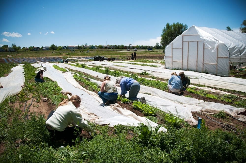 Tour a Local Farm or Learn Farm Arts like Canning and Herbal Medicine ...
