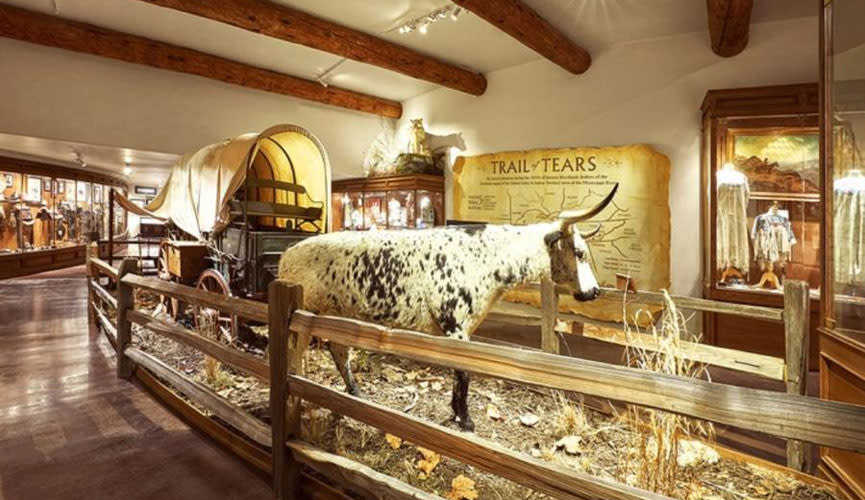 Ancient Ozarks Natural History Museum