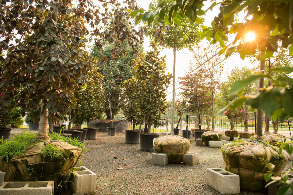 Bountiful Acres | Holicong, PA