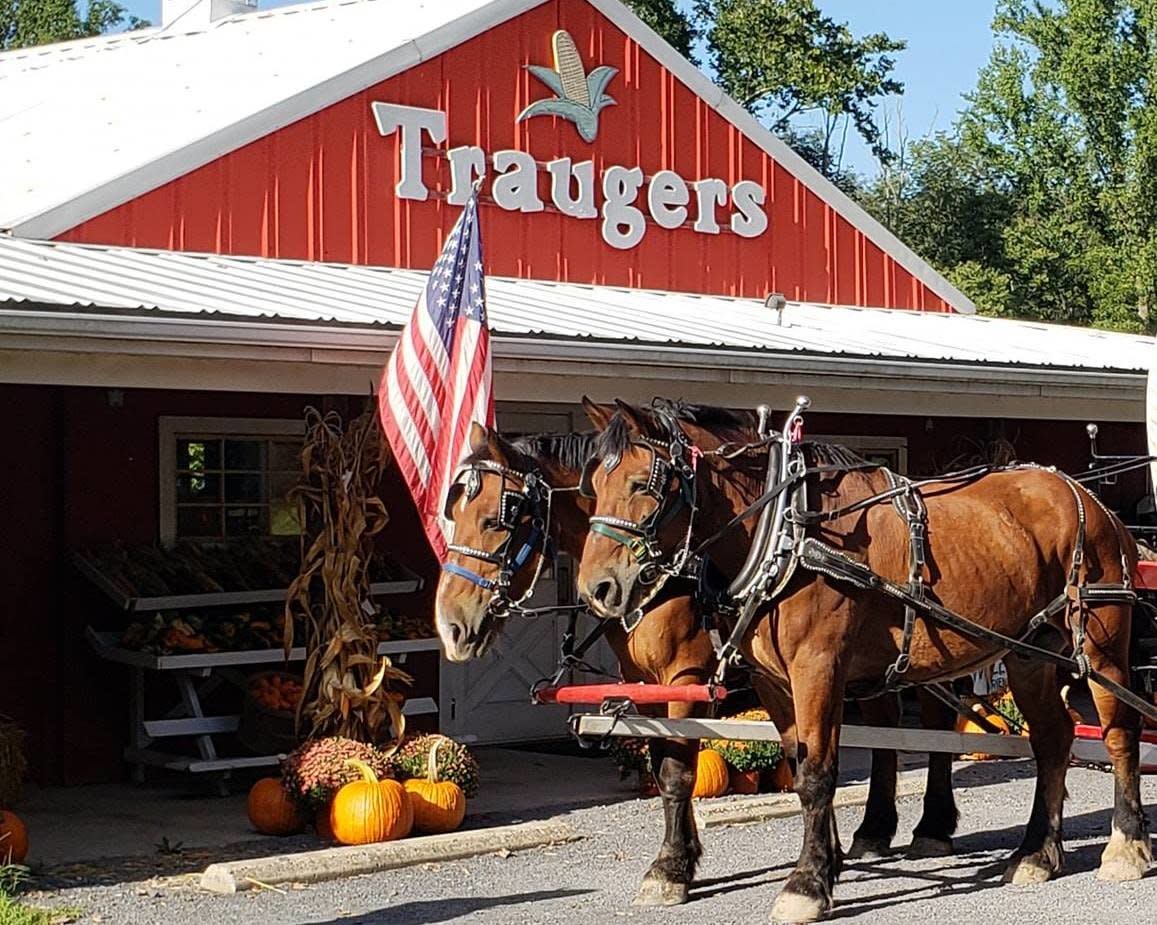 Trauger's Farm Market | Kintnersville, PA