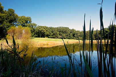 Binder Park Golf Course | Battle Creek, MI